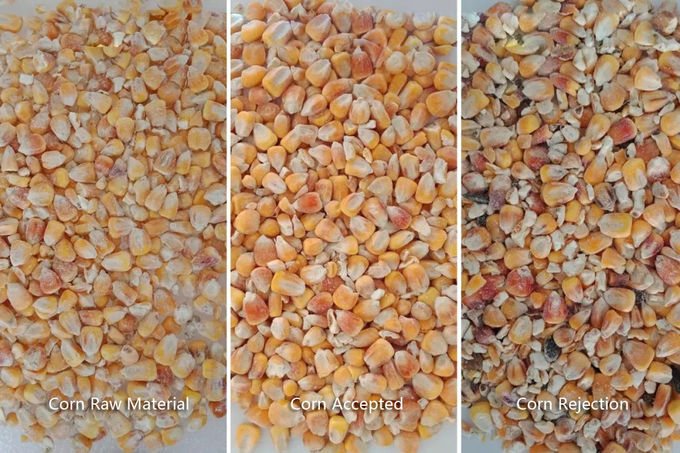 4 Channels Grain Corn Sorting Equipment Of Agricultural Products Separator