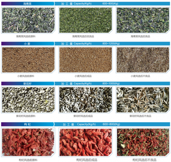 Vacuum Gravity Sorter With Power 3.3KW And Voltage 380V/50HZ For ...