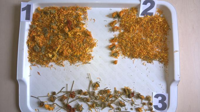 Vacuum Gravity Sorter With Power 3.3KW And Voltage 380V/50HZ For ...