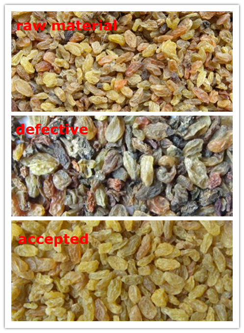 CCD Color Sorter For Raisin Upgrading Process With Power 2.6KW Voltage ...