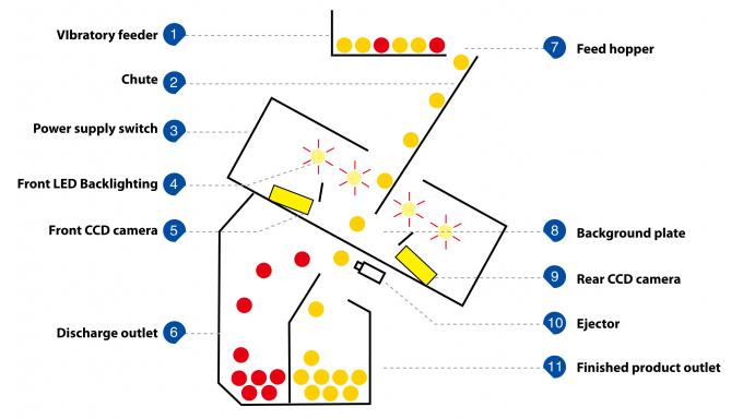 Intelligent CCD Color Seperator Waterfall Type Available For Any Cereal ...
