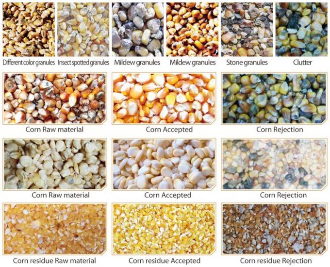 Multiple Function Corn / Maize Color Sorting Machine RGB 2 Chutes 0.8t/H