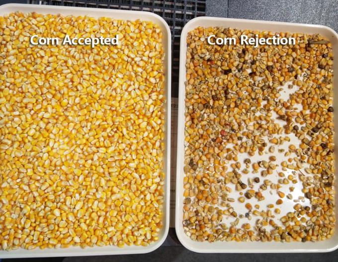 High Efficiency Sweet Corn Optical Color Sorter Corn Germ Separation ...