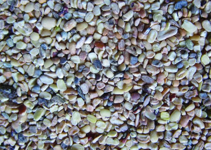 Double Chutes Separator RGB Camera Color Sorter Green Bean Sorting Machine